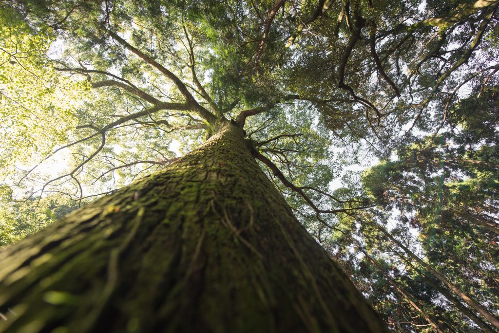 Inicio - Pablo Gaudio